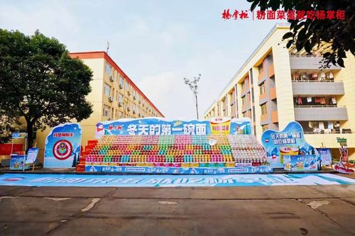 Quality Instant Noodles & Ramen Noodles factory from China