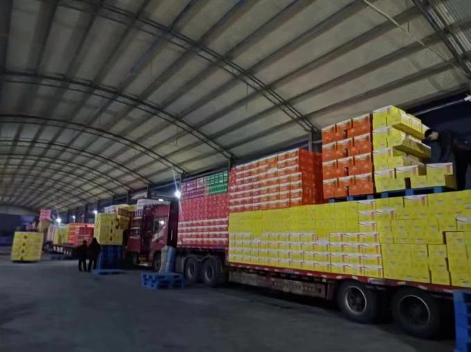 Overtime Deliveries: Yang Zhang Gui's Mengzhou Factory Ships 100,000 ...